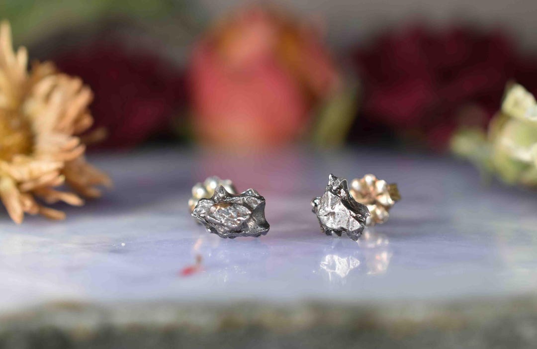 Meteorite Meteor Post Prong Earrings in Sterling Silver, Campo Del ...