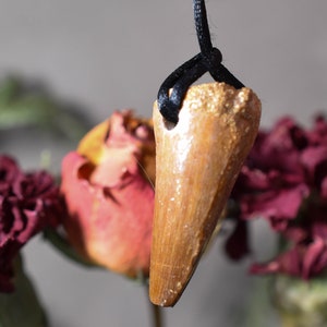 Dinosaur Fossil Tooth Pendant Mosasaurus Tooth Pendant Fossil Tooth ...