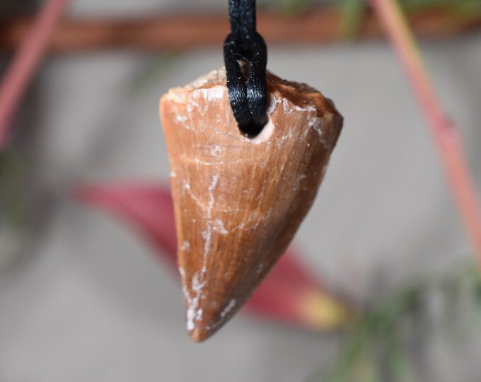 Dinosaur Fossil Tooth Pendant Mosasaurus Tooth Pendant Fossil Tooth ...