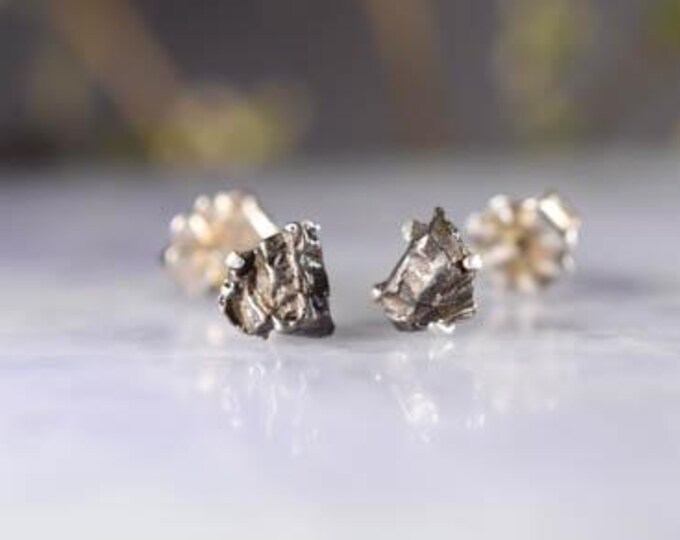Meteorite Meteor Post Prong Earrings in Sterling Silver, Campo Del ...