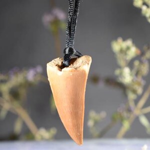 Dinosaur Fossil Tooth Pendant Mosasaur Tooth Pendant Fossil Tooth ...