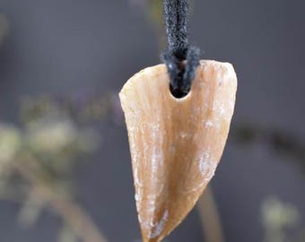 Dinosaur Fossil Tooth Pendant Mosasaurus Tooth Pendant Fossil Tooth ...