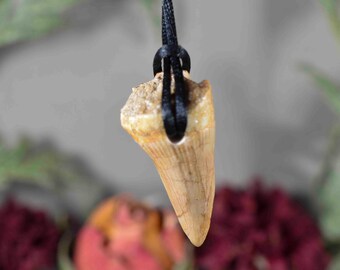 Dinosaur Fossil Tooth Pendant Mosasaur Tooth Pendant Fossil Tooth ...