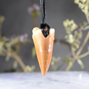 Dinosaur Fossil Tooth Pendant Mosasaur Tooth Pendant Fossil Tooth ...