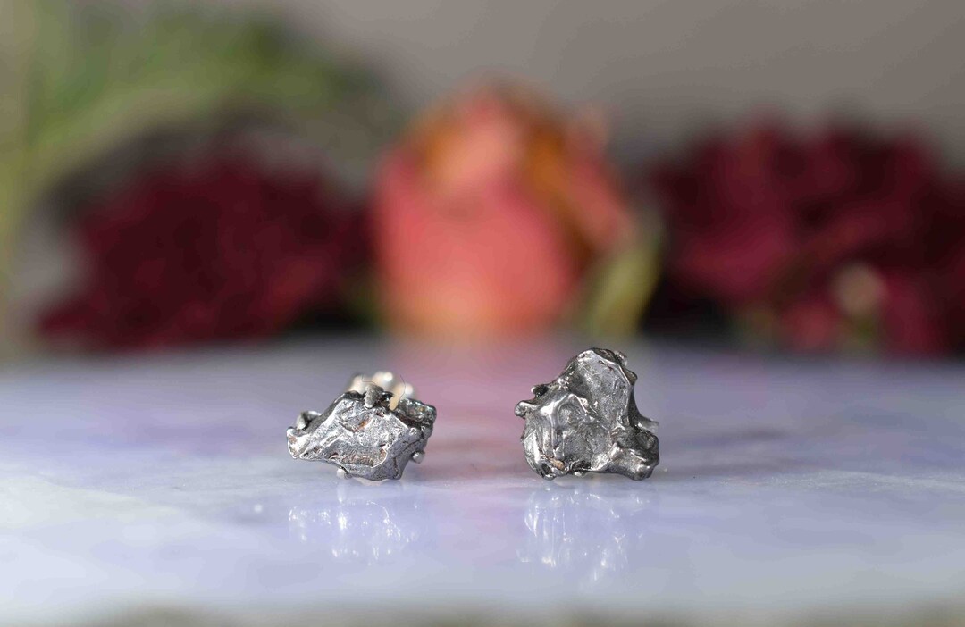 Meteorite Meteor Post Prong Earrings in Sterling Silver, Campo Del ...