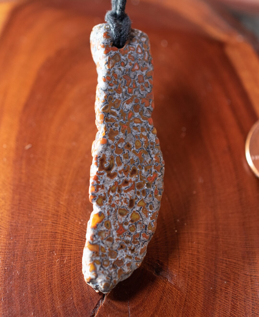 Dinosaur Bone Necklace,dinosaur Agate Bone Pendant,fossil Dinosaur ...