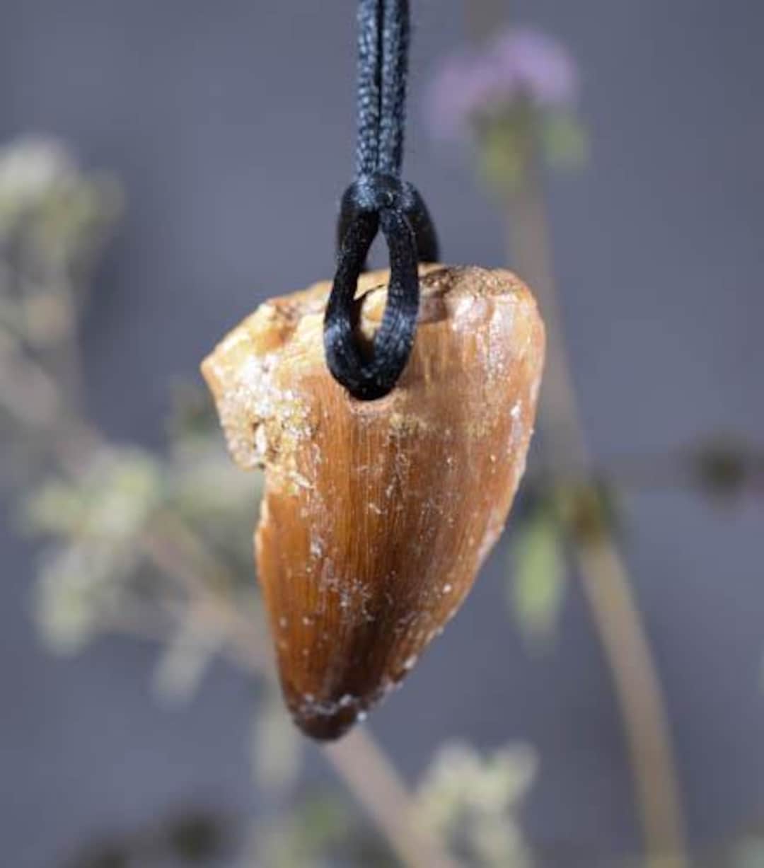 Dinosaur Fossil Tooth Pendant Mosasaur Tooth Pendant Fossil Tooth ...