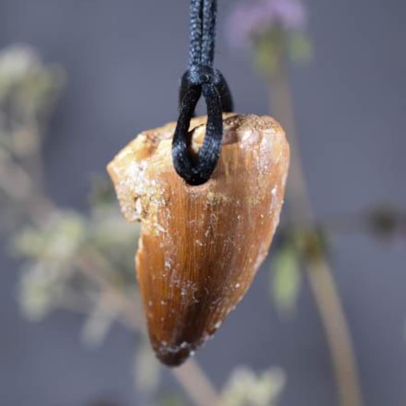 Dinosaur Pendants - Etsy