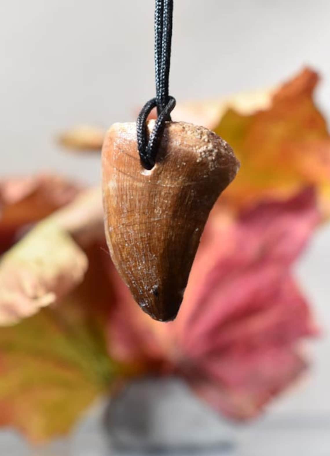 Dinosaur Fossil Tooth Pendant Mosasaurus Tooth Pendant Fossil - Etsy