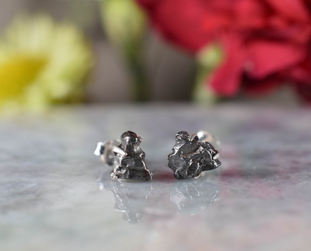 Meteorite Meteor Post Prong Earrings in Sterling Silver, Campo Del ...