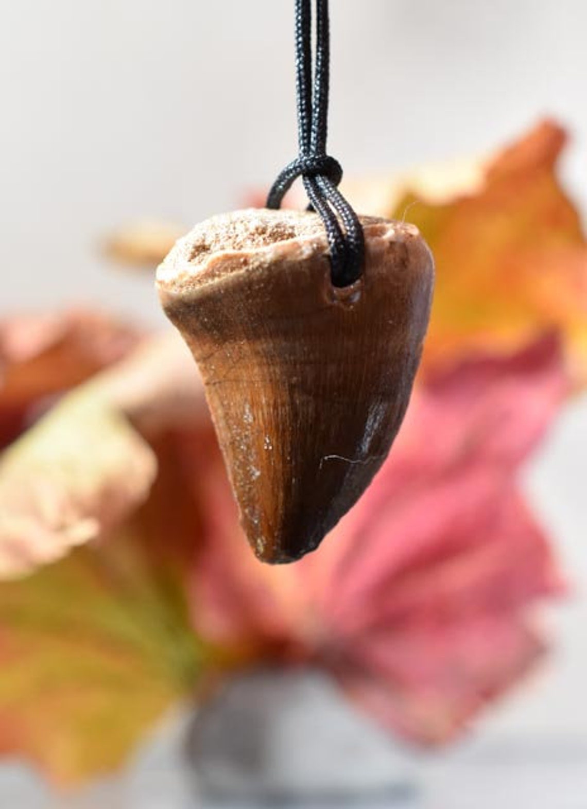 Dinosaur Fossil Tooth Pendant Mosasaurus Tooth Pendant Fossil - Etsy