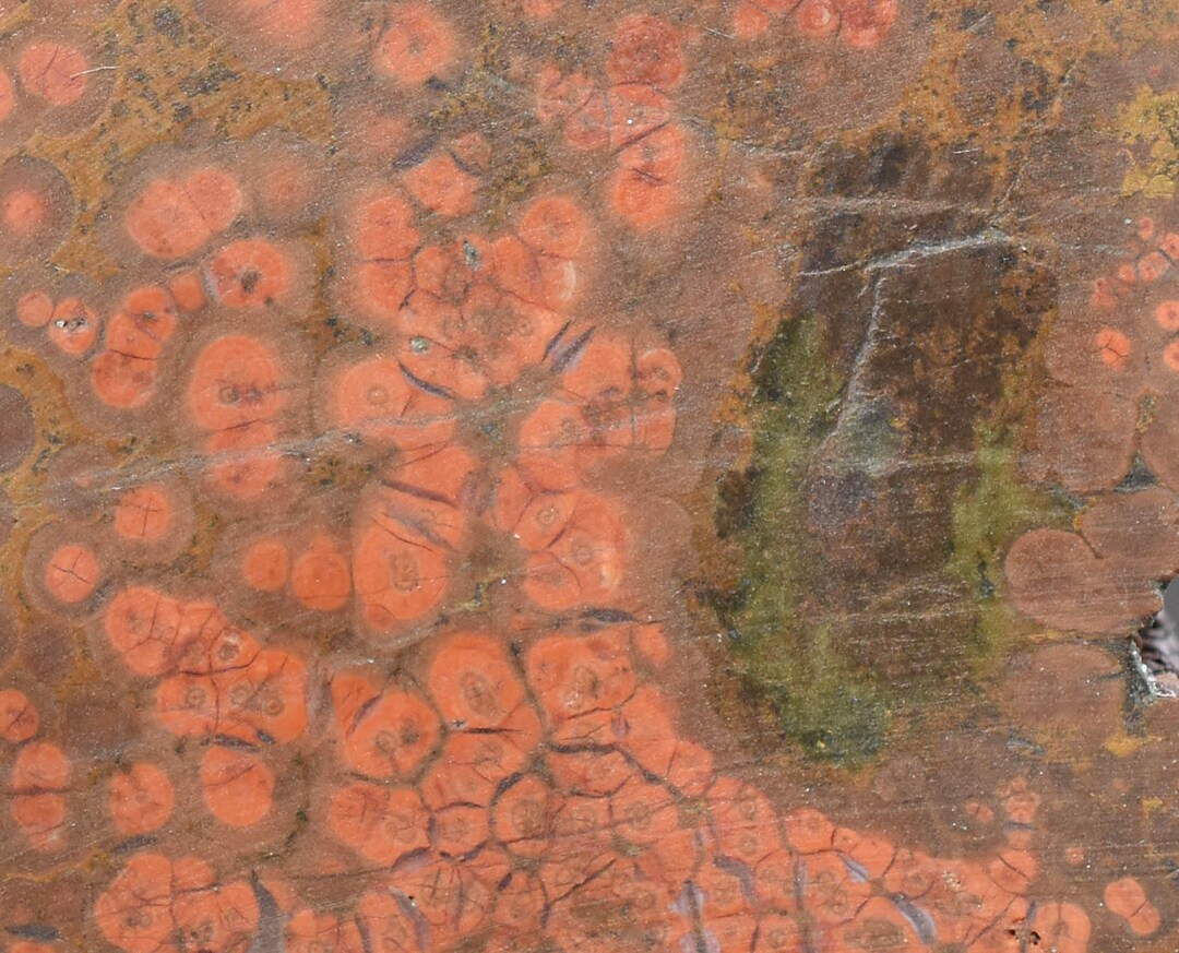 Ocean Jasper Palm Stone|aa Ocean Jasper | Ocean Jasper | Ocean Jasper ...