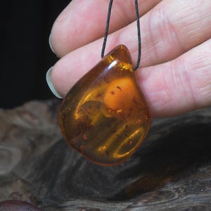 Amber Pendant Baltic Amber Hand Polished Natural Stone Bead Fossil ...