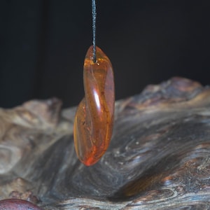 Amber Pendant Baltic Amber Hand Polished Natural Stone Bead Fossil ...