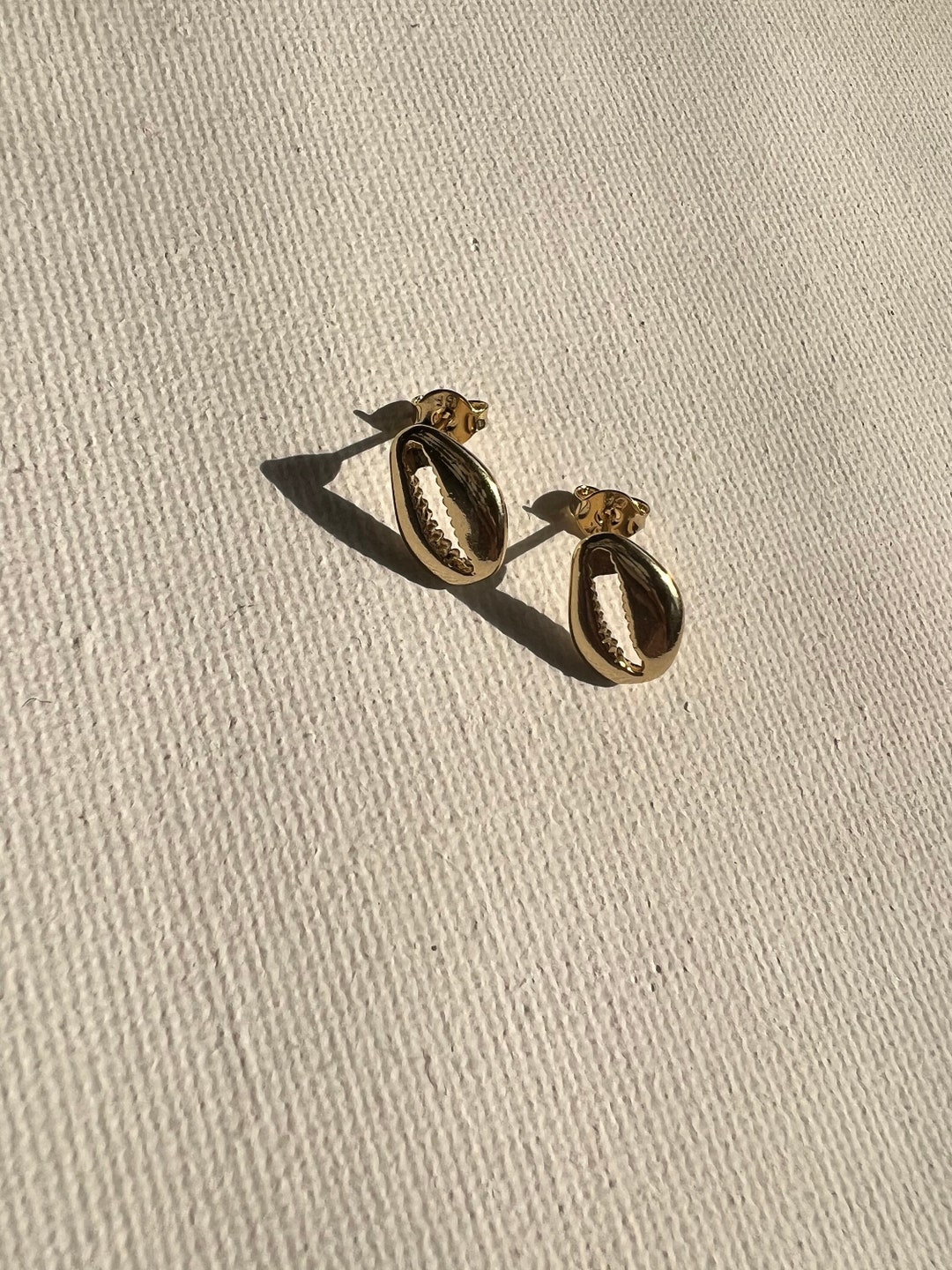 Gold Filled Cowrie Shell Studs, Gold Filled Earrings, Cowrie Shell ...