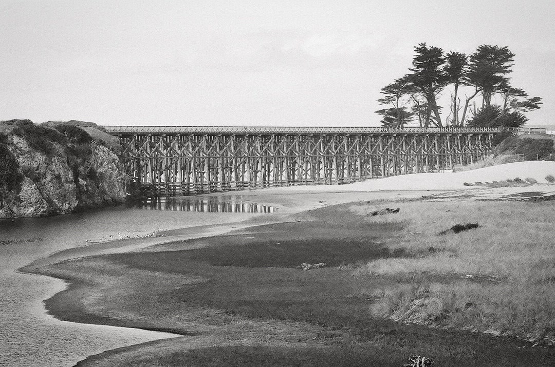 Fort Bragg California Black and White Beach Photo, Pudding Creek ...