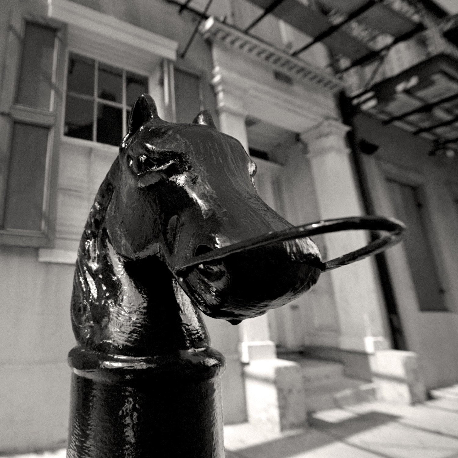 New Orleans Horse Hitching Post Photo, Black and White Photography ...