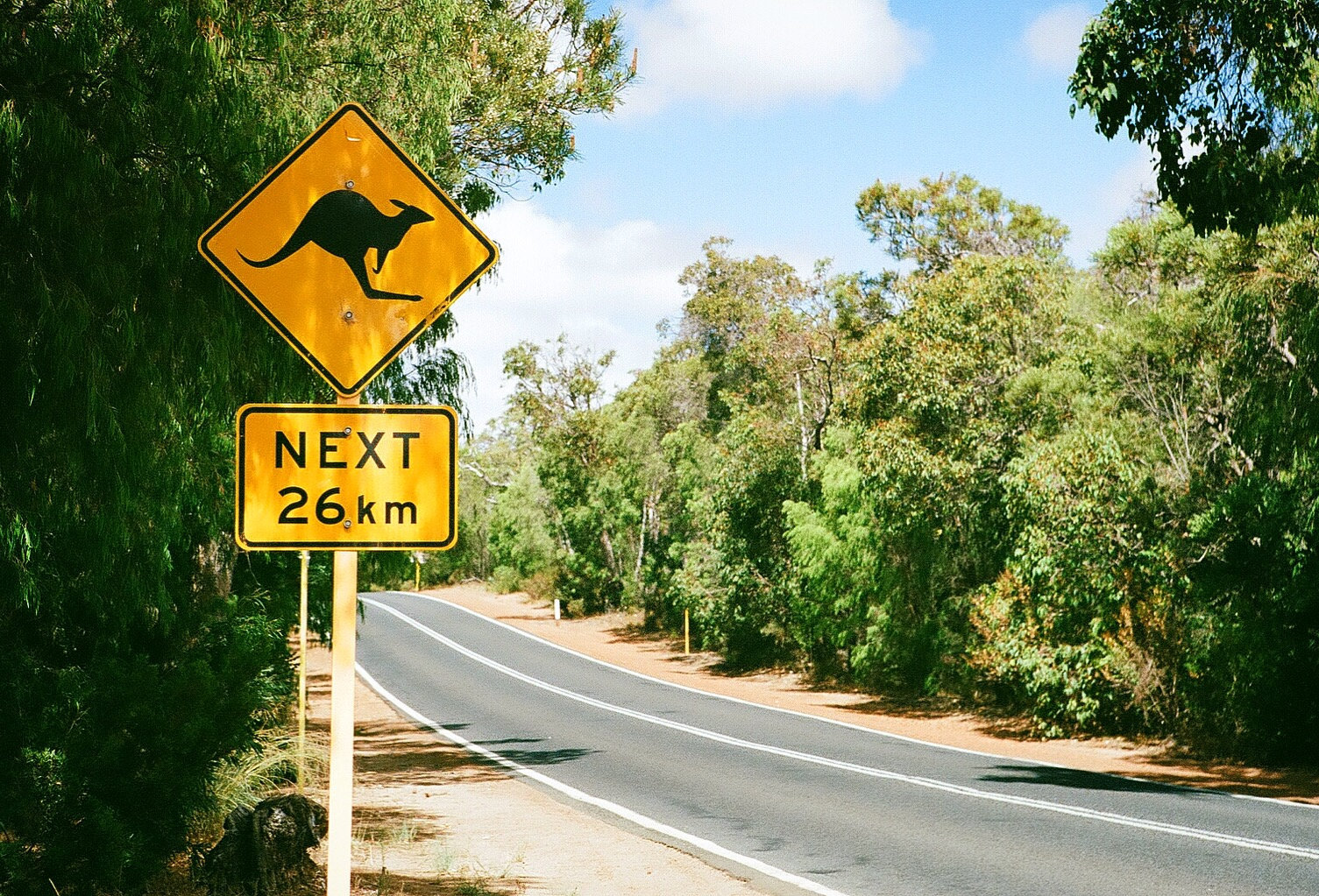 Kangaroos Next 26km Australian Road Sign Photo Print, Margaret River ...