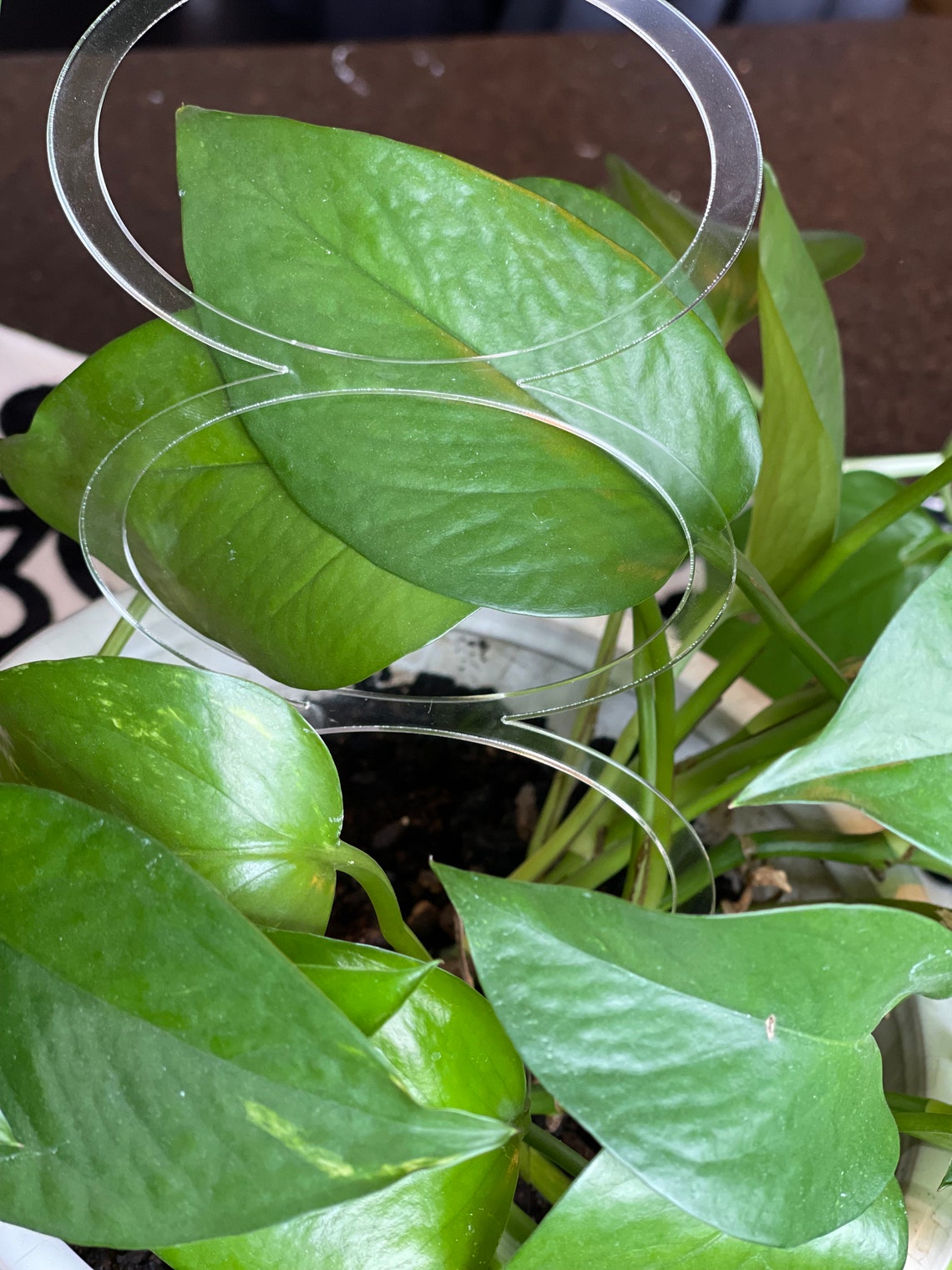 BOHO Trellis Bundle for Indoor Plants L Trellis Laser Files, Plant ...