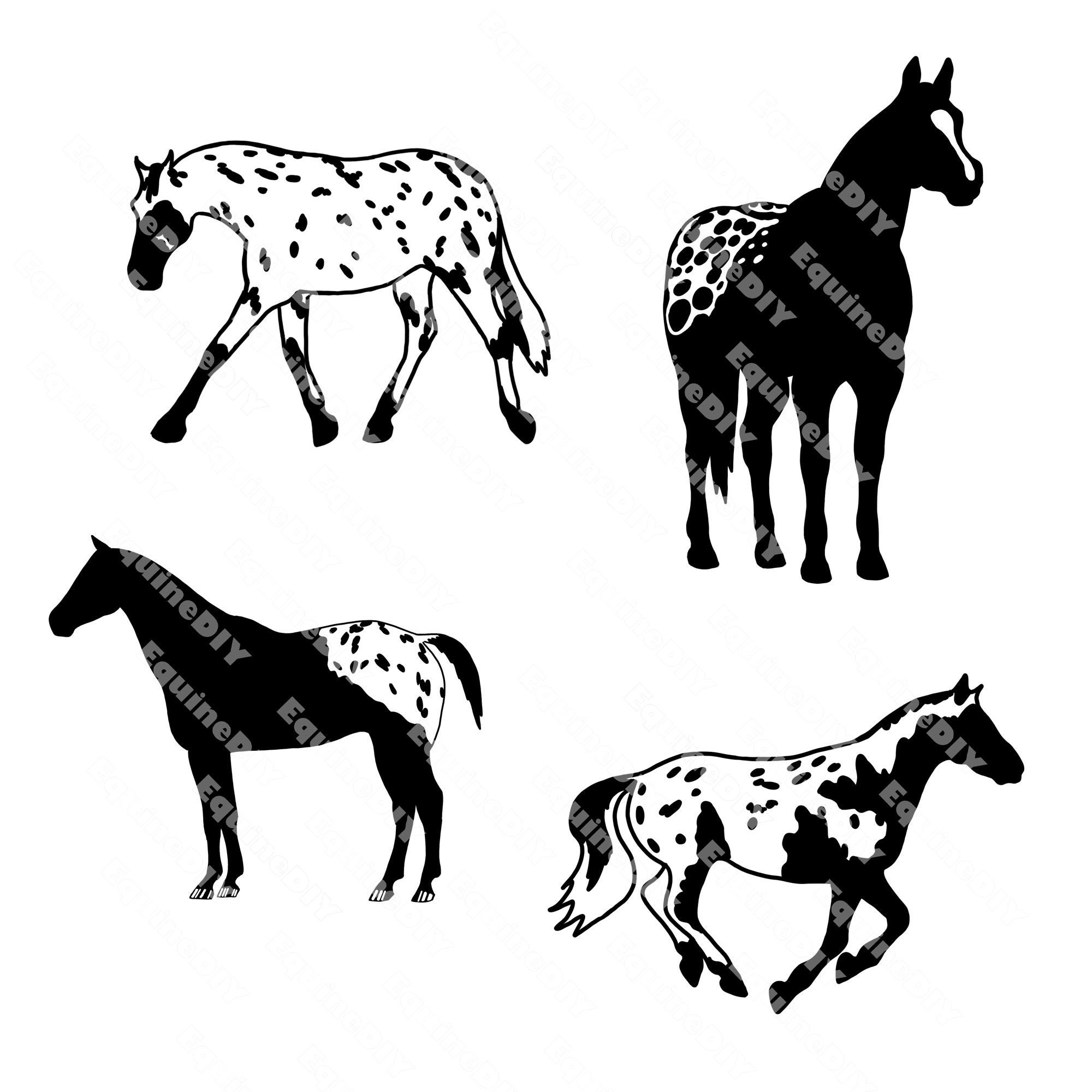 4 Appaloosa Horse Clip Art Set for Custom Awards, Mugs, T-shirts, Logos ...