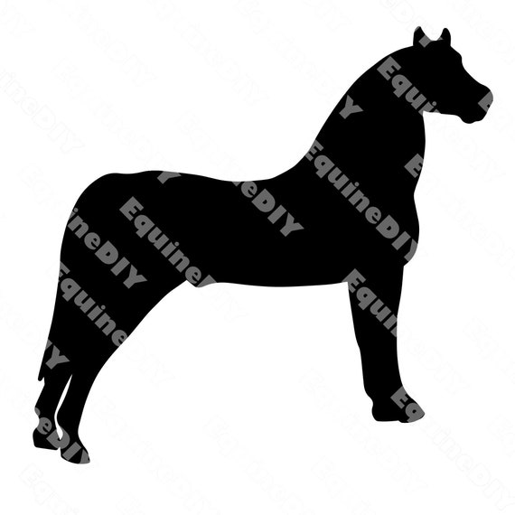 Clipart Morgan Horse Halter Stance for Decals Logos Cutouts | Etsy