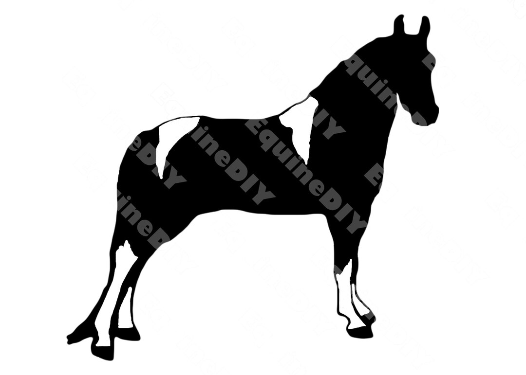 Horse Clip Art Spotted Saddle Horse Tennessee Walker Pinto Tobiano Show ...