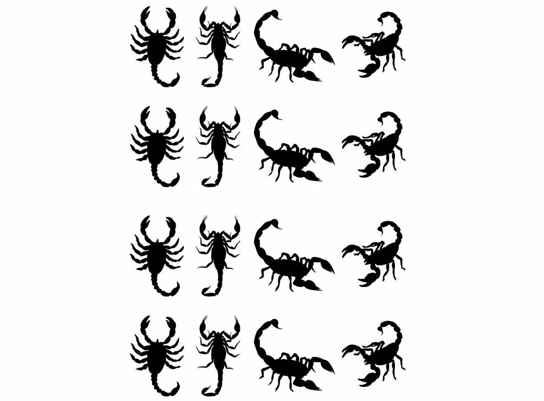 Scorpion 16 Pcs 1" Black Fused Glass Decals - Etsy