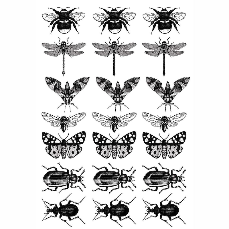 Insect Decals - Etsy