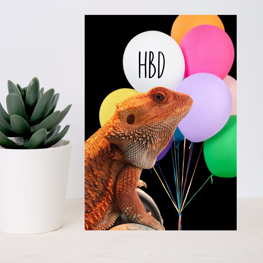 Printable Bearded Dragon Birthday Card With Balloons and Humorous ...
