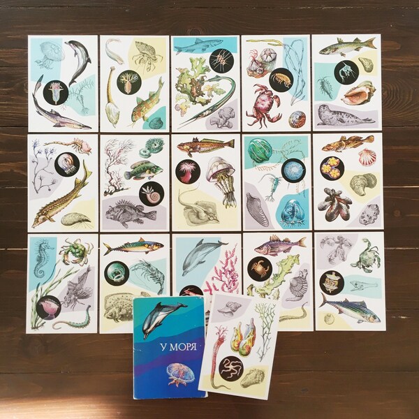 Sea Life Print - Etsy