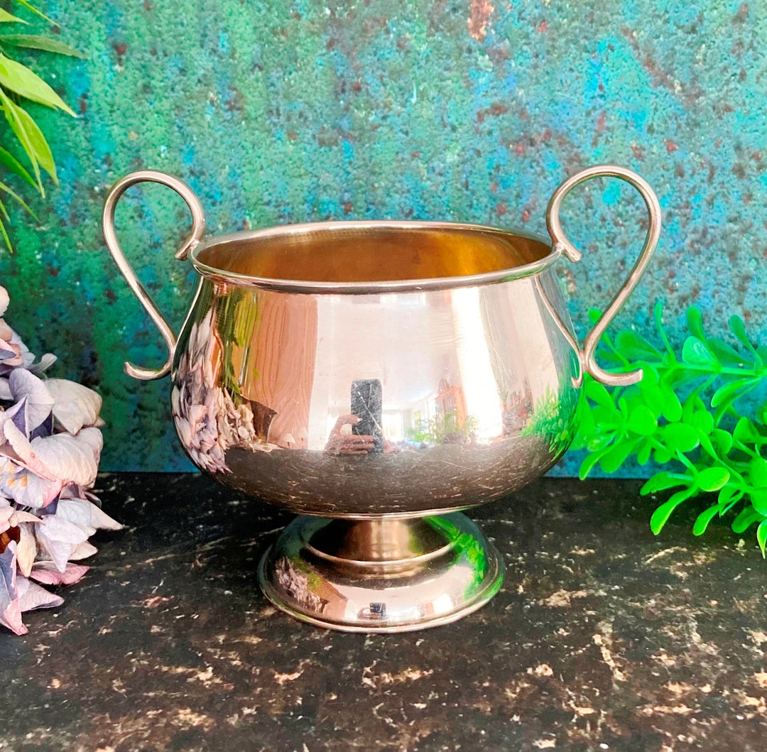 Small Trophy Cup, Chromed Metal Pedestal Bowl, Silver Gold Vintage ...