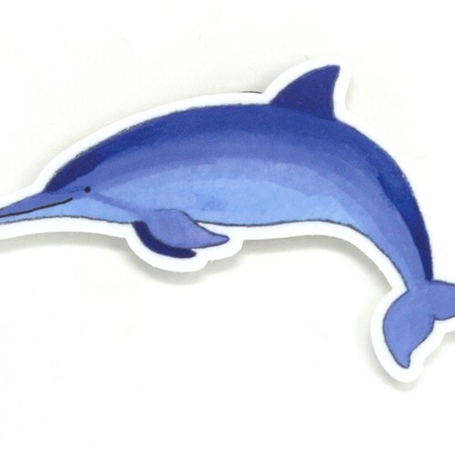Dolphin Vinyl Decal Dolphin Sticker Dolphin Bumper Sticker - Etsy