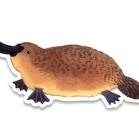 Quirky Platypus Sticker - Cute Derpy Animal Decal for Laptops, Water ...