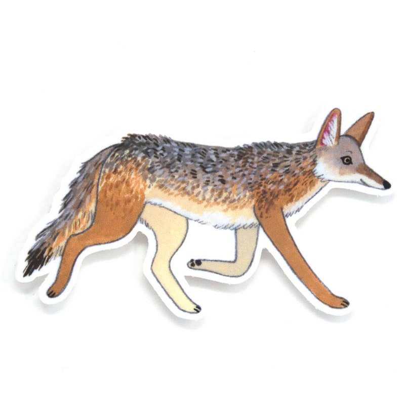 Therian Mask Coyote - Etsy