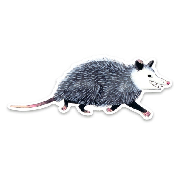 Opossum Stickers - Etsy