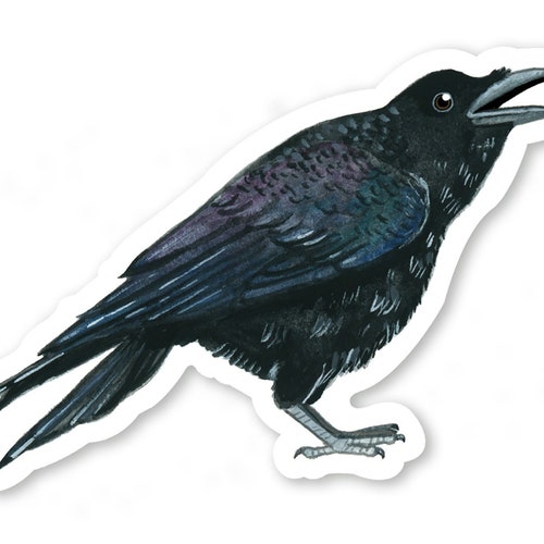 Raven Sticker - Etsy