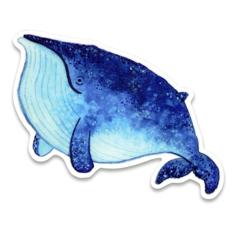 Whale Sticker - Etsy