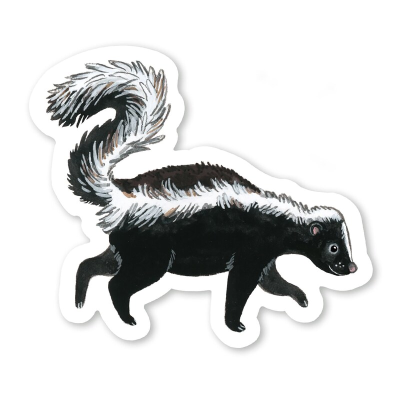 Skunk Sticker - Etsy