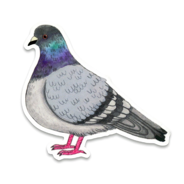 Waterproof Pigeon Sticker - Etsy