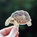 Tortoise Sticker - Etsy