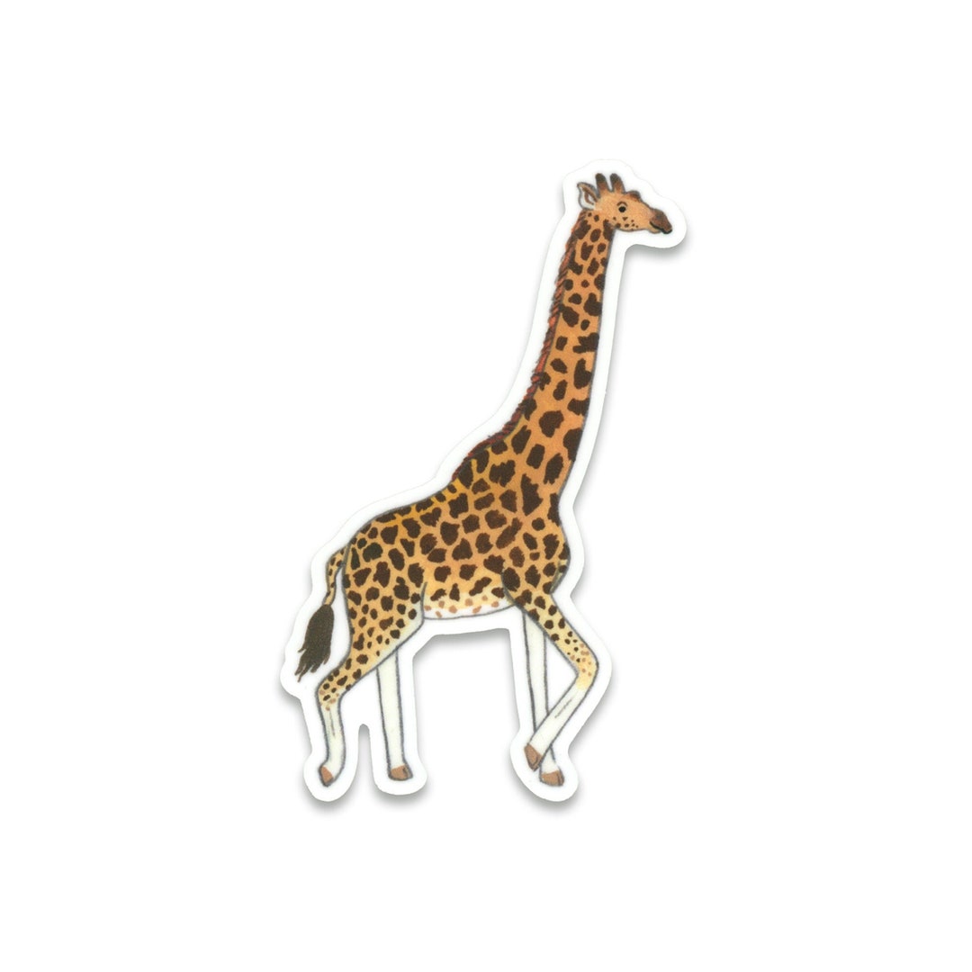 Giraffe Sticker - Etsy