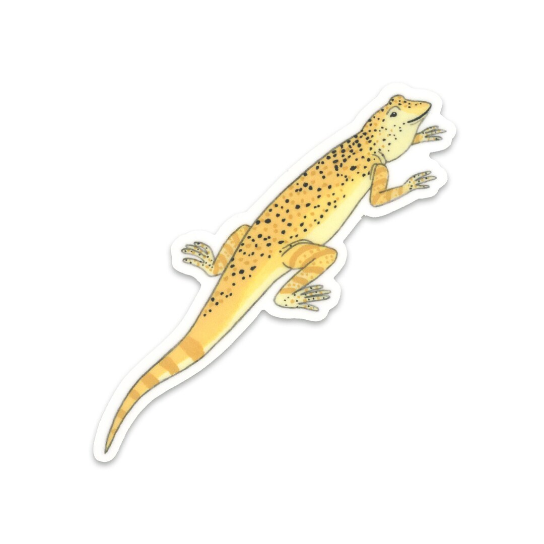Lizard Sticker - Etsy