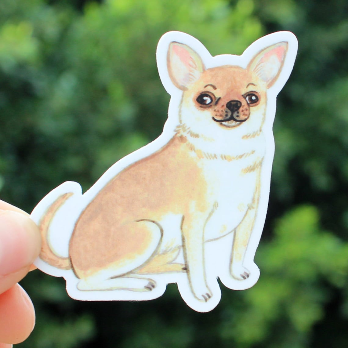 Chihuahua Sticker | Etsy