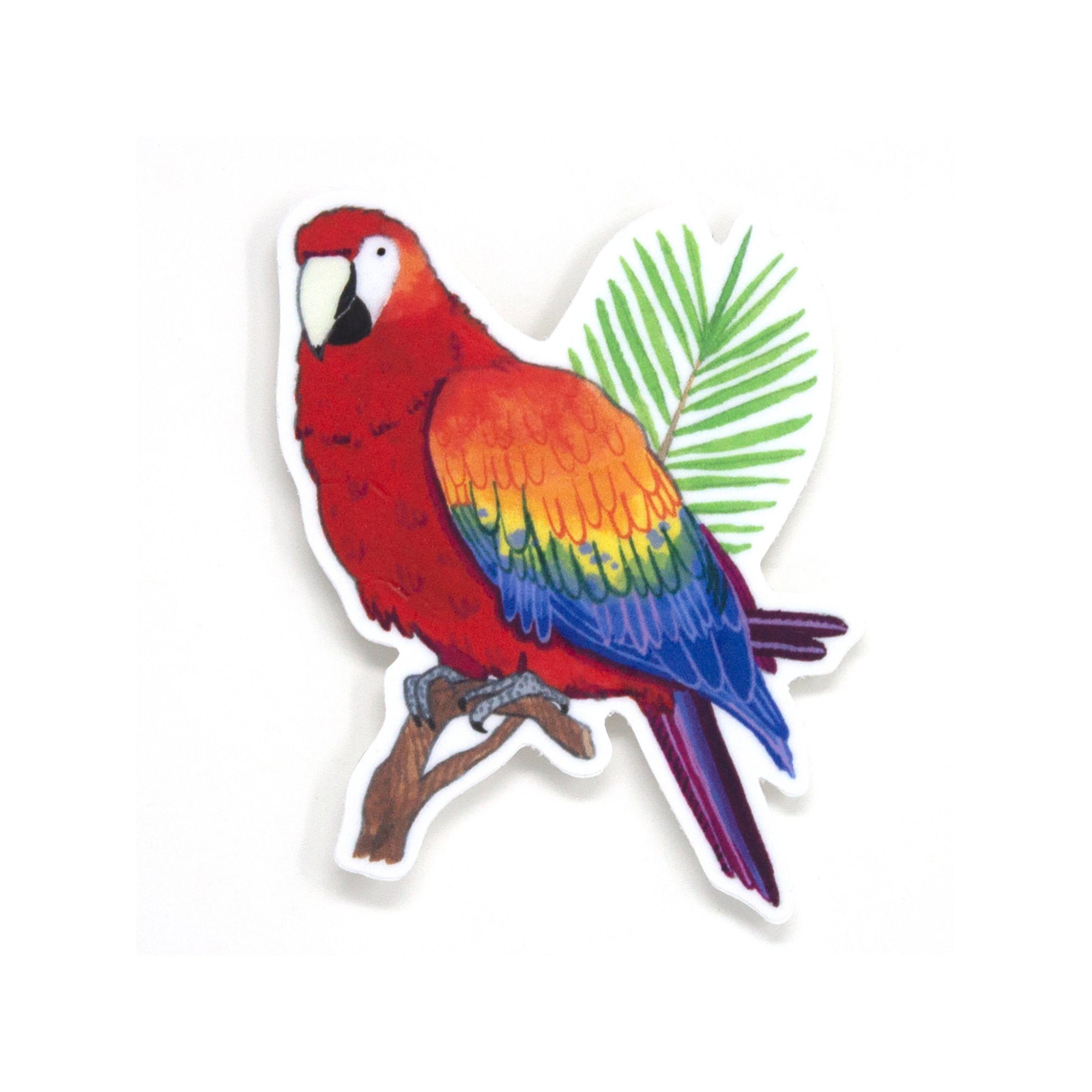 Parrot Sticker - Etsy