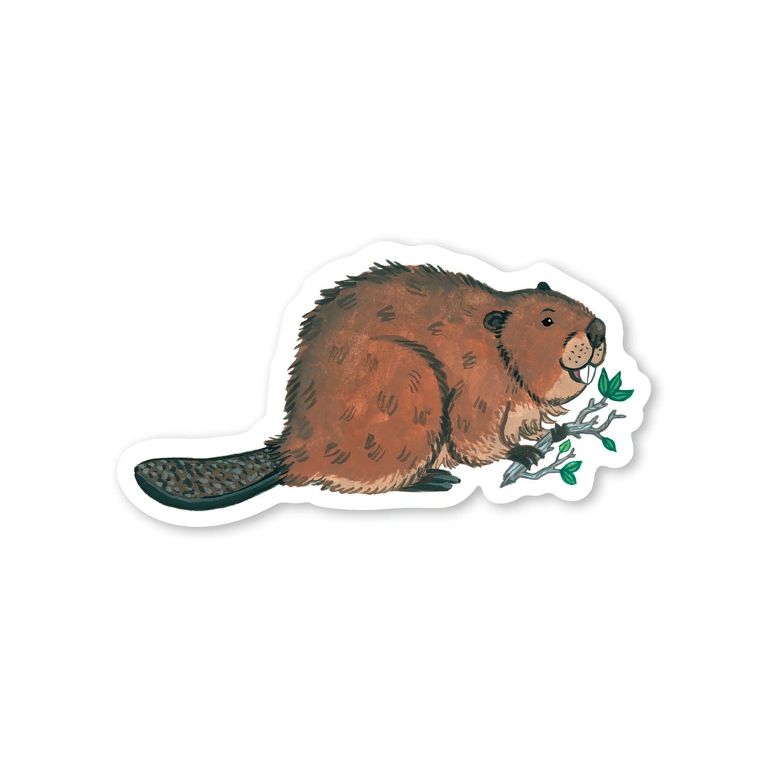 Beaver Sticker - Etsy