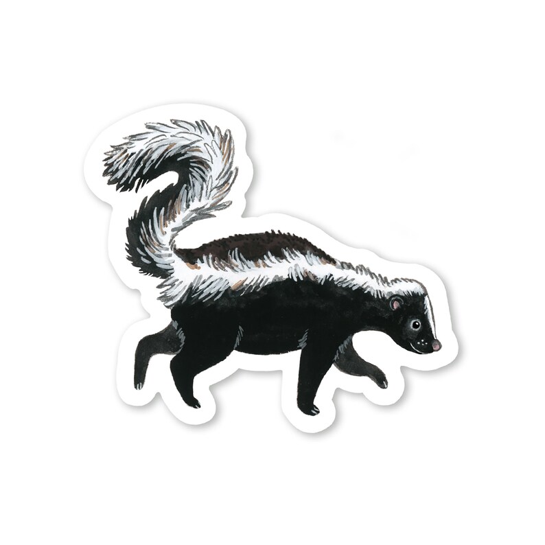 Skunk Sticker - Etsy