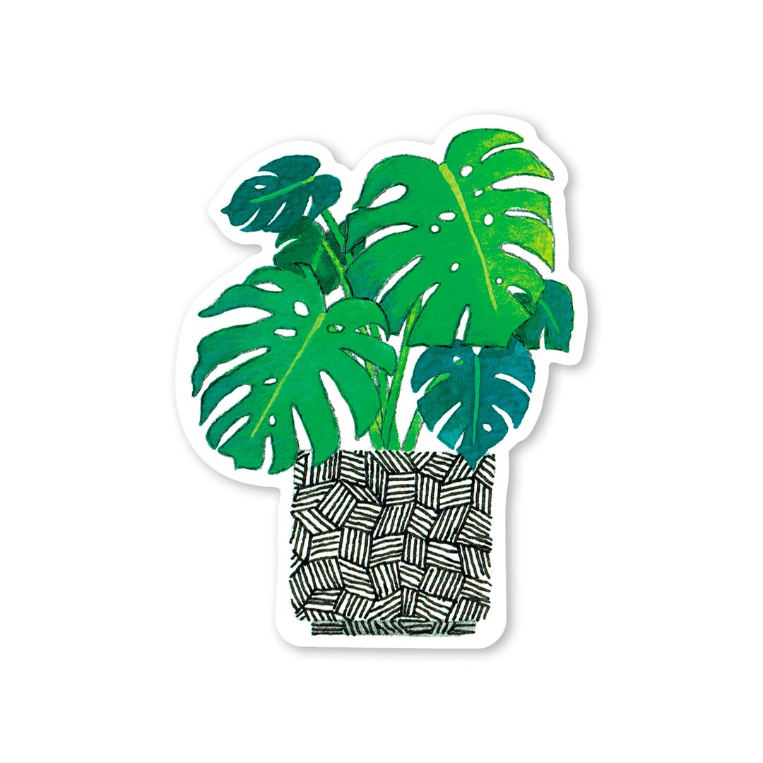 Monstera Sticker - Etsy