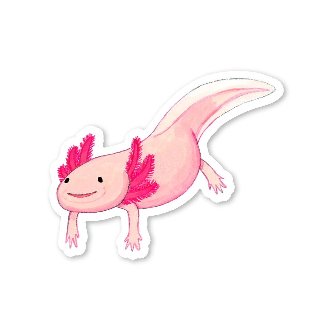 Axolotl Sticker - Etsy