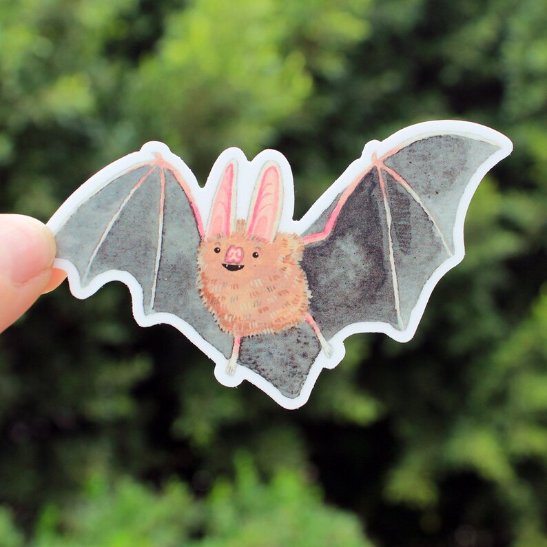 Critter Sticker Pack | Etsy