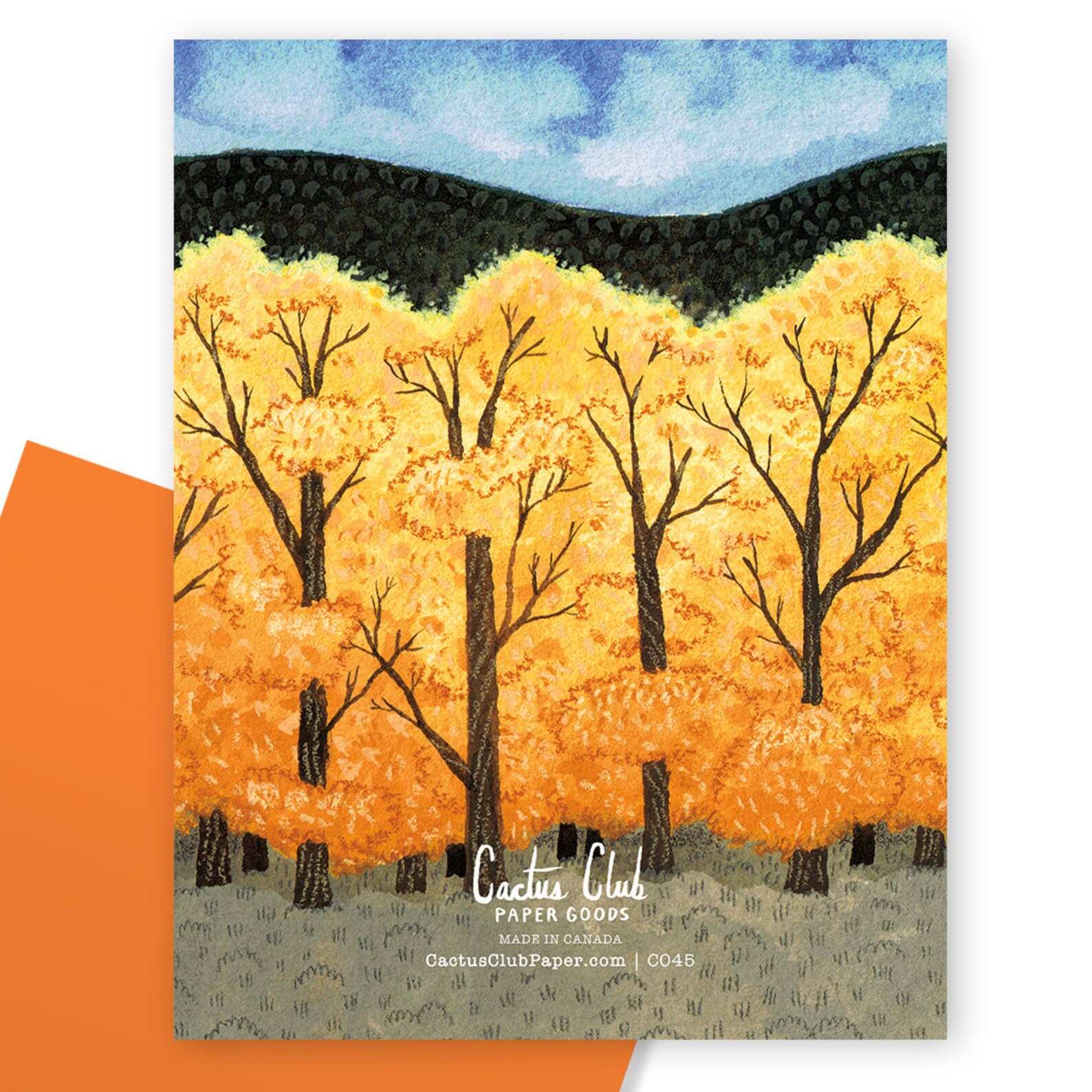 Birthday Bison Card - Etsy